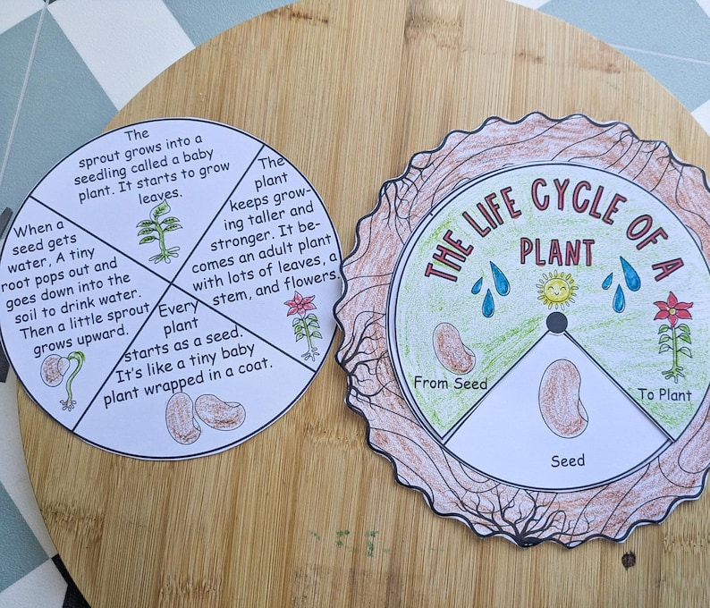 Life Cycle of a Plant, Homeschool Science Unit Activity, Sequencing ...