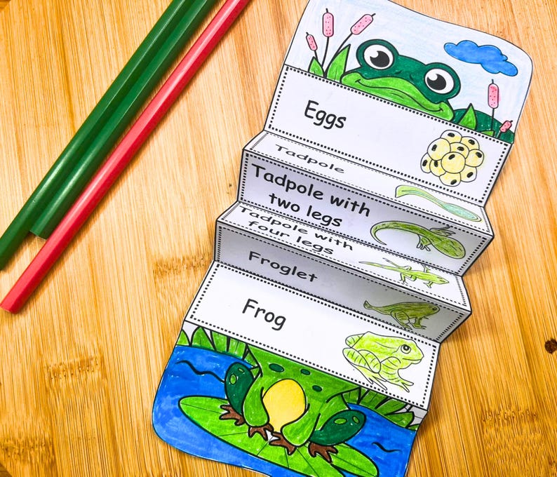Frog Life Cycle Foldable Activity, Homeschool Science Unit Activity ...