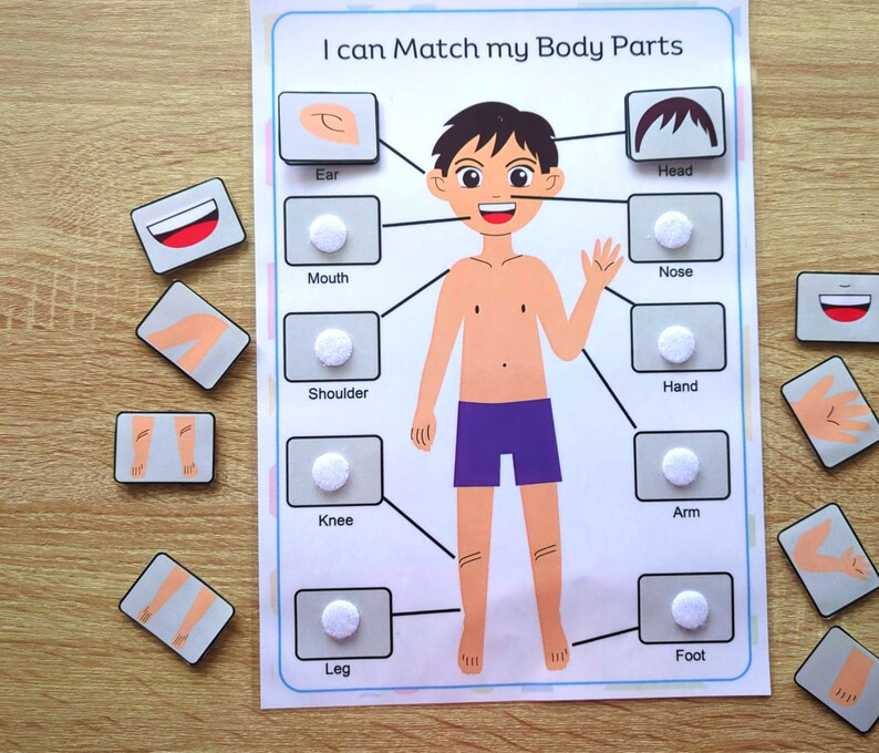 Body Parts Matching Activity for Toddlers, Printable Busy Book Page ...