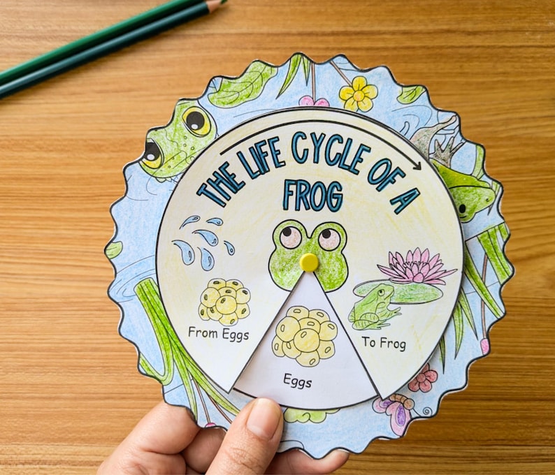Life Cycle of a Frog Wheel, Homeschool Science Unit Activity, Sequence ...
