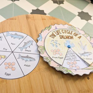 Life Cycle of a Salmon, Homeschool Science Unit Activity, Sequencing ...