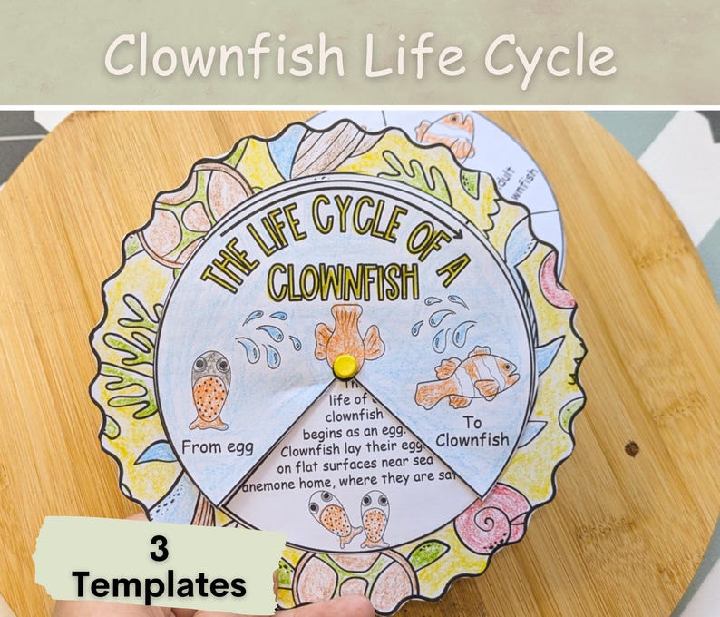 Life Cycle of a Clownfish Spinner Wheel, Sequence Activity for ...