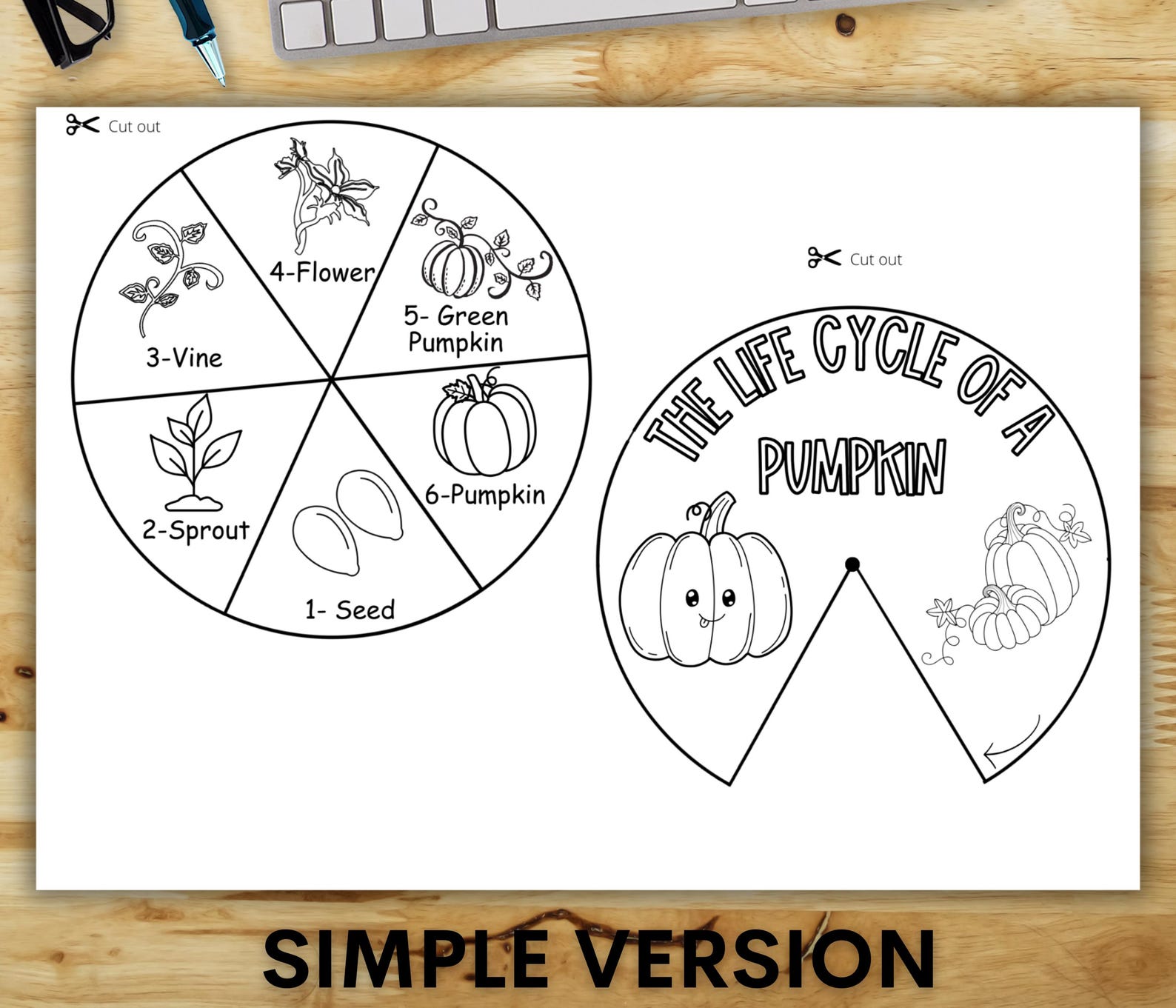 Life Cycle of a Pumpkin Wheel, Homeschool Science Activity, October ...