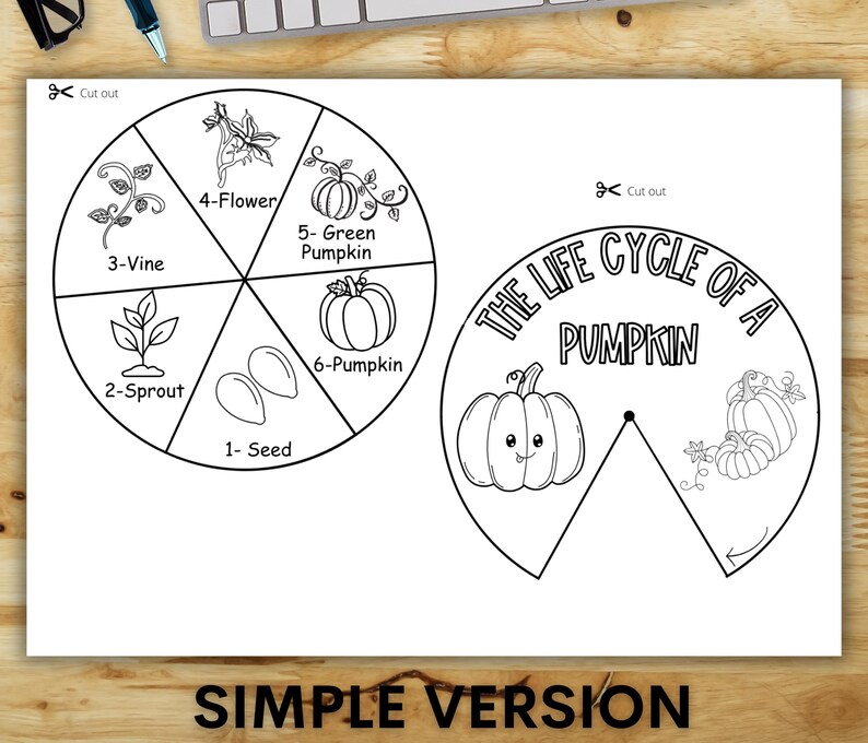 Life Cycle of a Pumpkin Wheel, Homeschool Science Activity, October ...