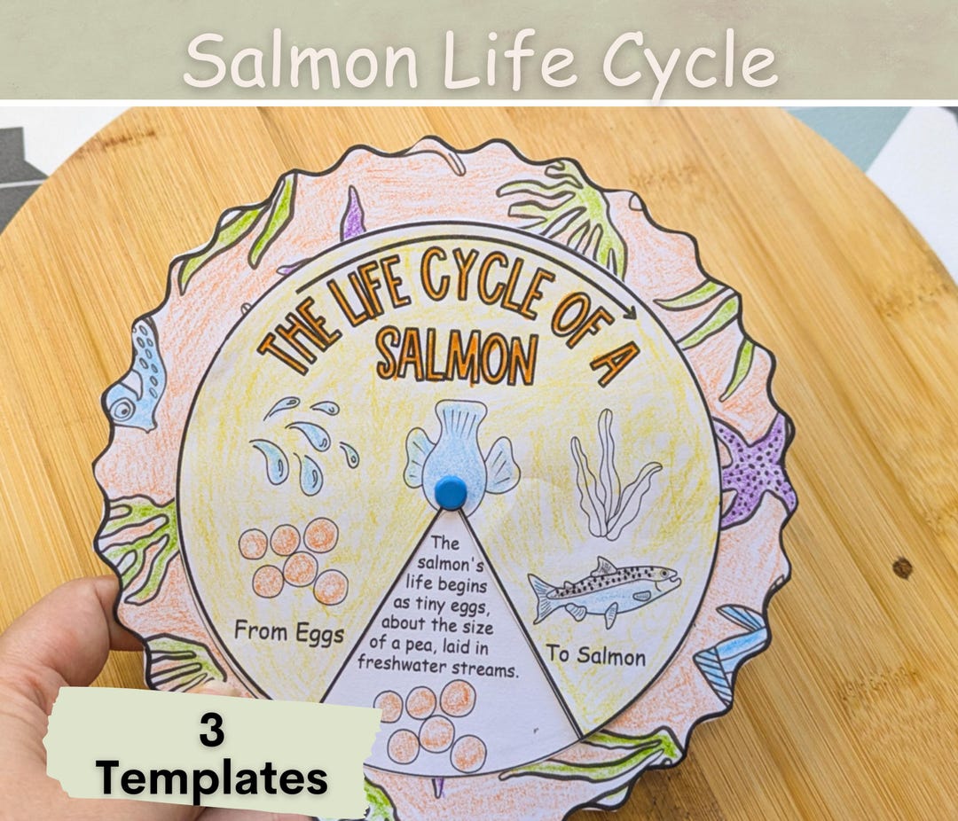 Life Cycle of a Salmon, Homeschool Science Unit Activity, Sequencing ...