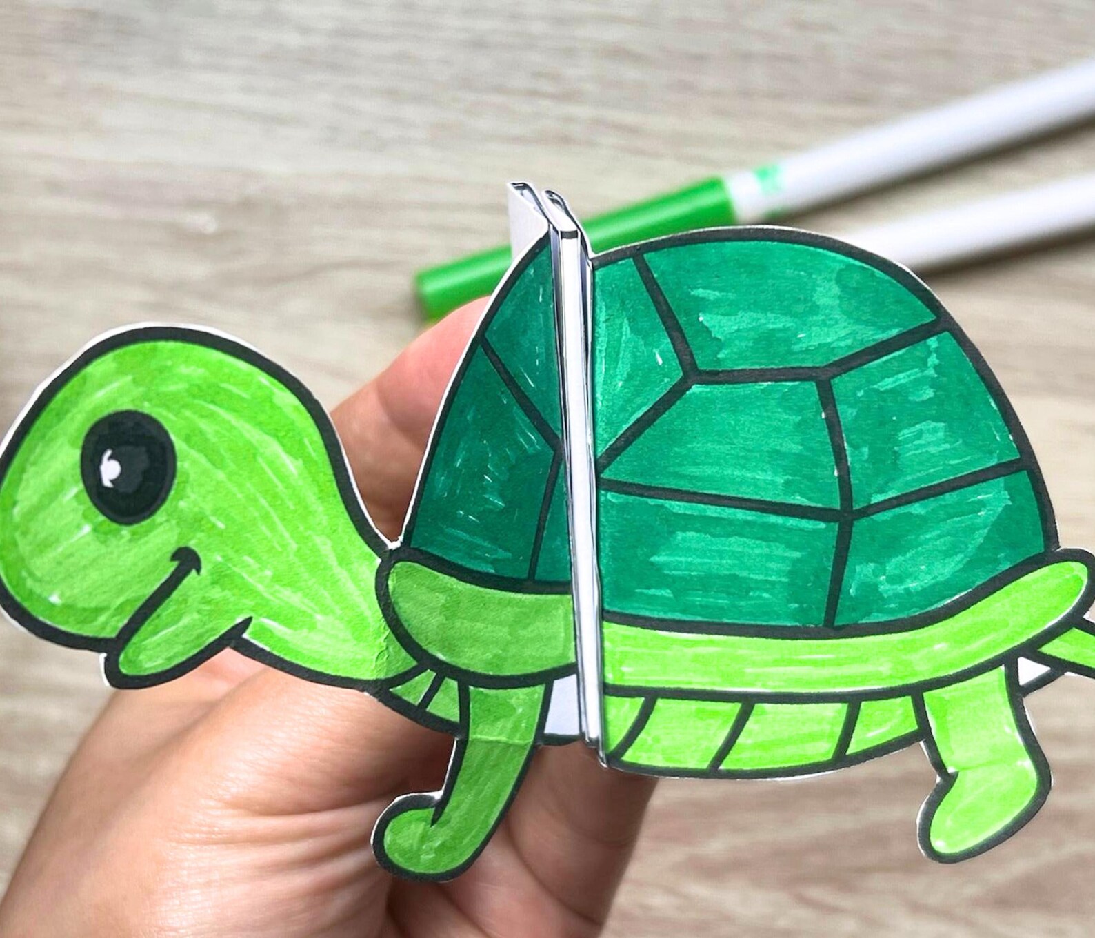 Life Cycle of a Sea Turtle Foldable Activity, Homeschool Science Unit ...
