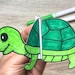 Life Cycle of a Sea Turtle Foldable Activity, Homeschool Science Unit ...