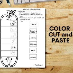 Life Cycle of an Apple Foldable Activity, Homeschool Science Unit ...