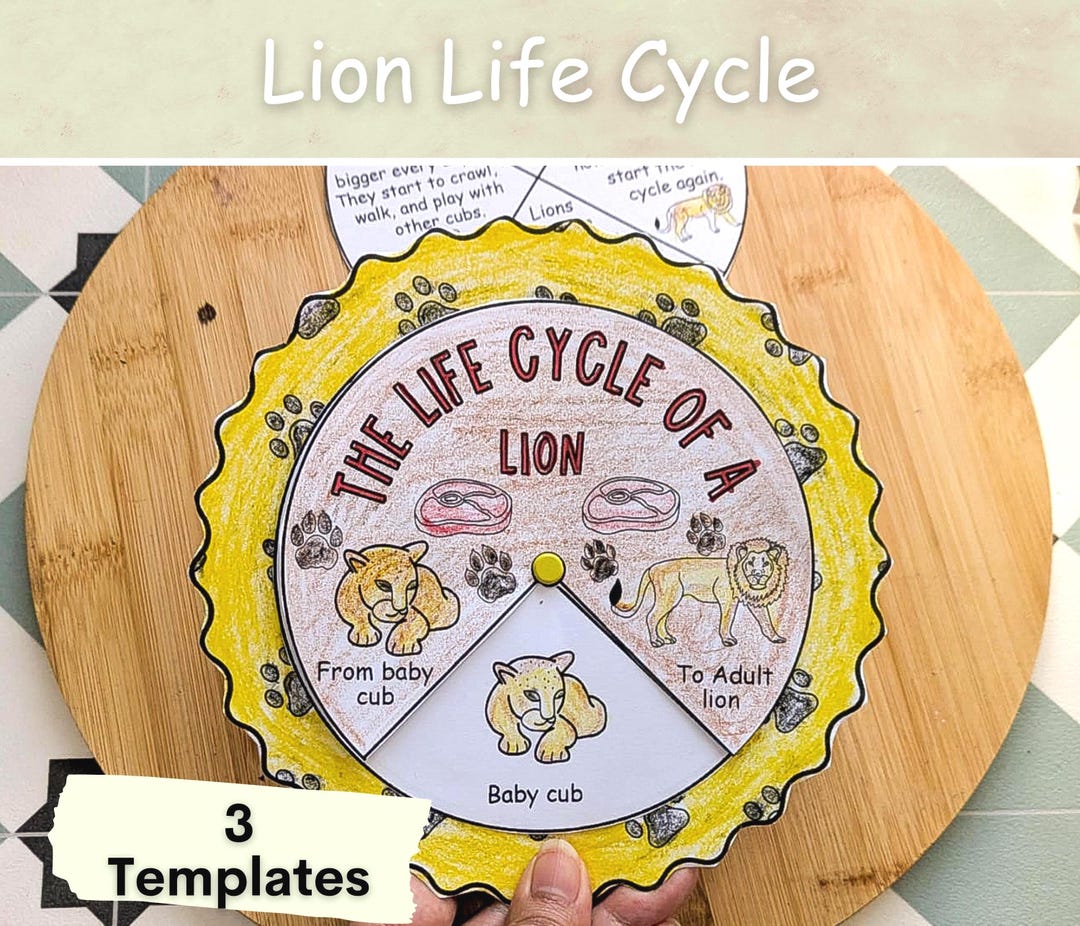 Life Cycle of a Lion Wheel, Homeschool Science Unit Study, Kindergarten ...