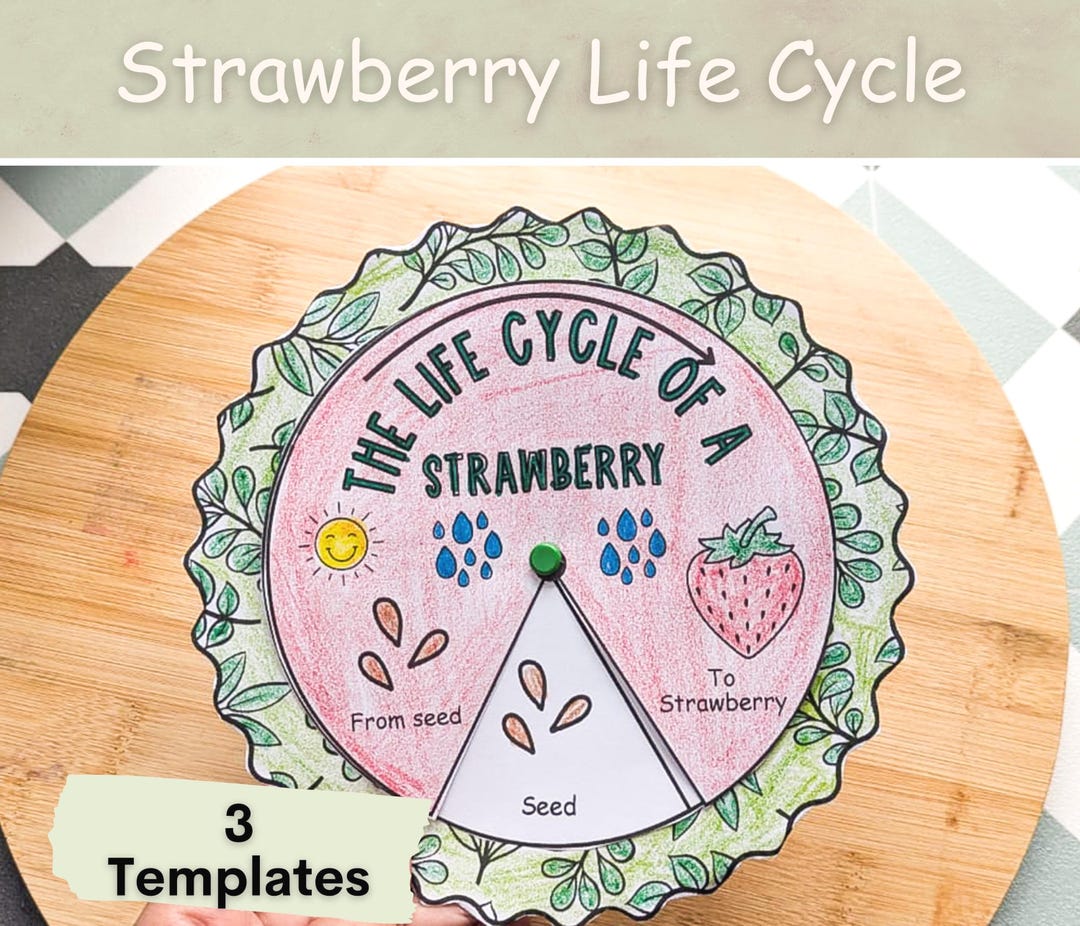 Life Cycle of a Strawberry, Homeschool Science Plant Unit Activity ...