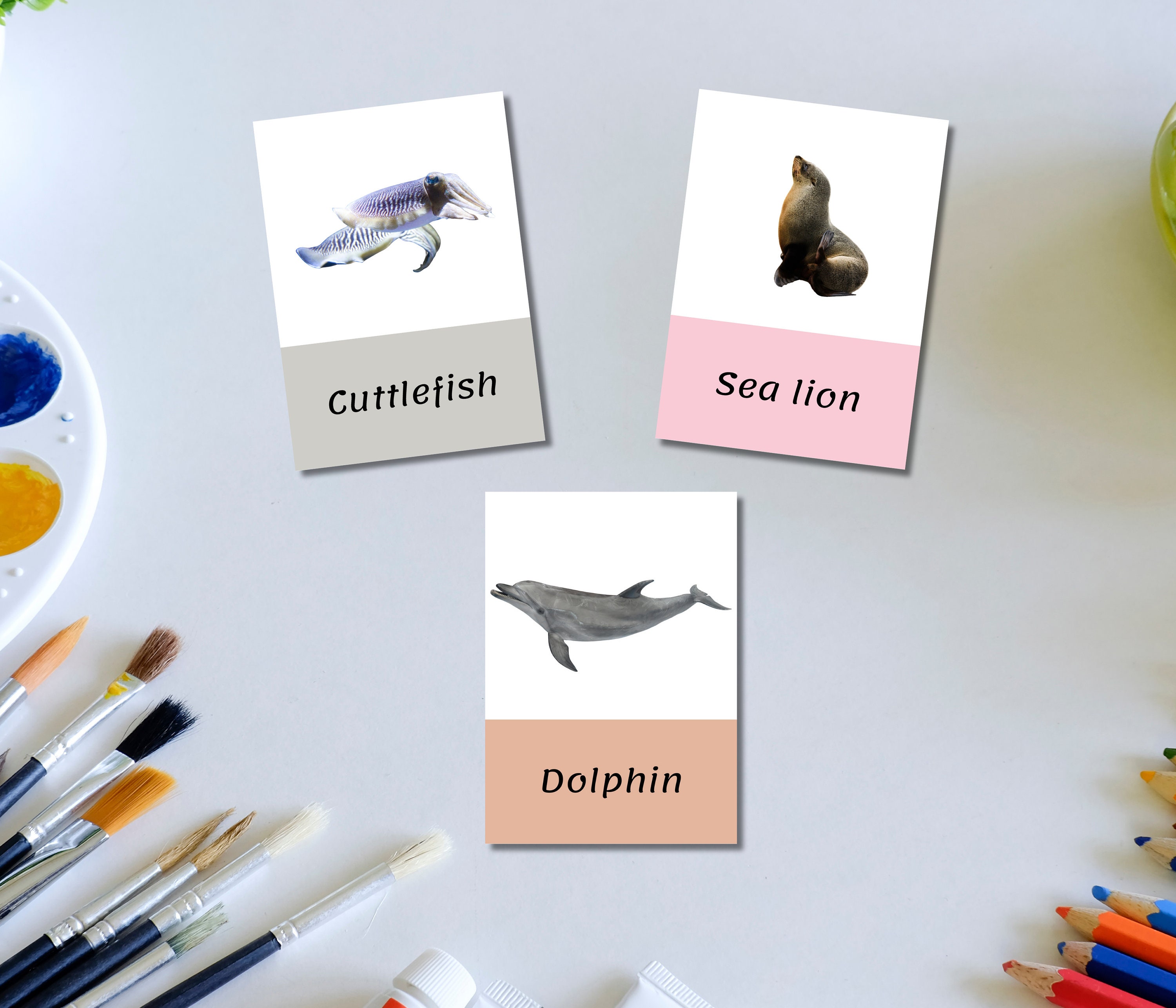 Ocean Animals Flashcards, Preschool Learning Cards, Homeschool ...