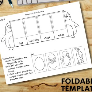 Penguin Life Cycle Foldable Activity, Sequencing With Picture Cards ...