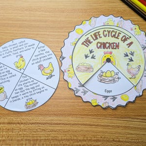 Life Cycle of a Chicken Wheel, Homeschool Science Unit Study ...