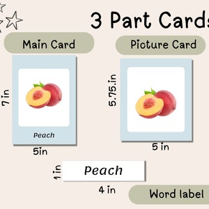 Fruit Flashcards for Kid, Montessori 3 Part Cards, Nomenclature Cards ...