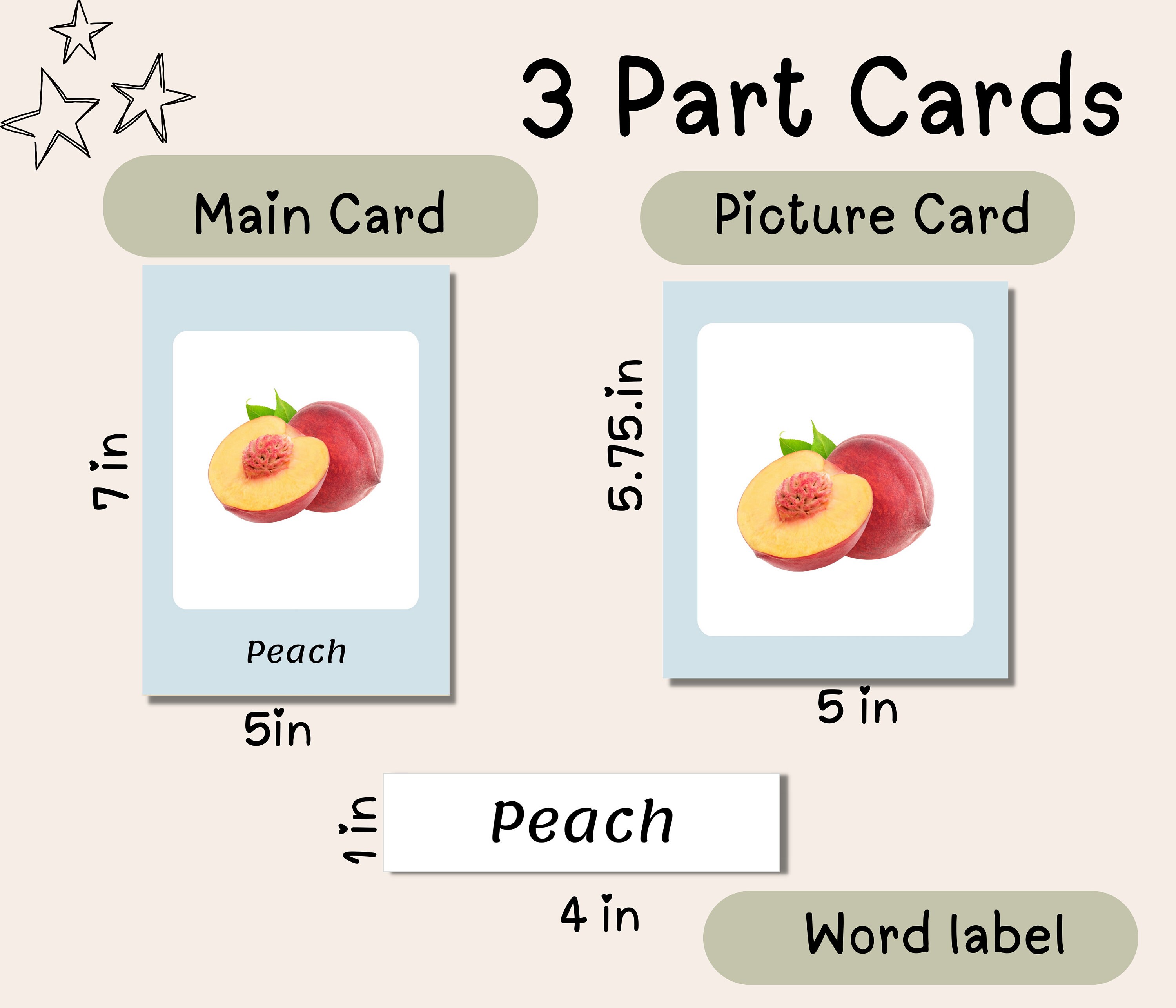 Fruit Flashcards for Kid, Montessori 3 Part Cards, Nomenclature Cards ...