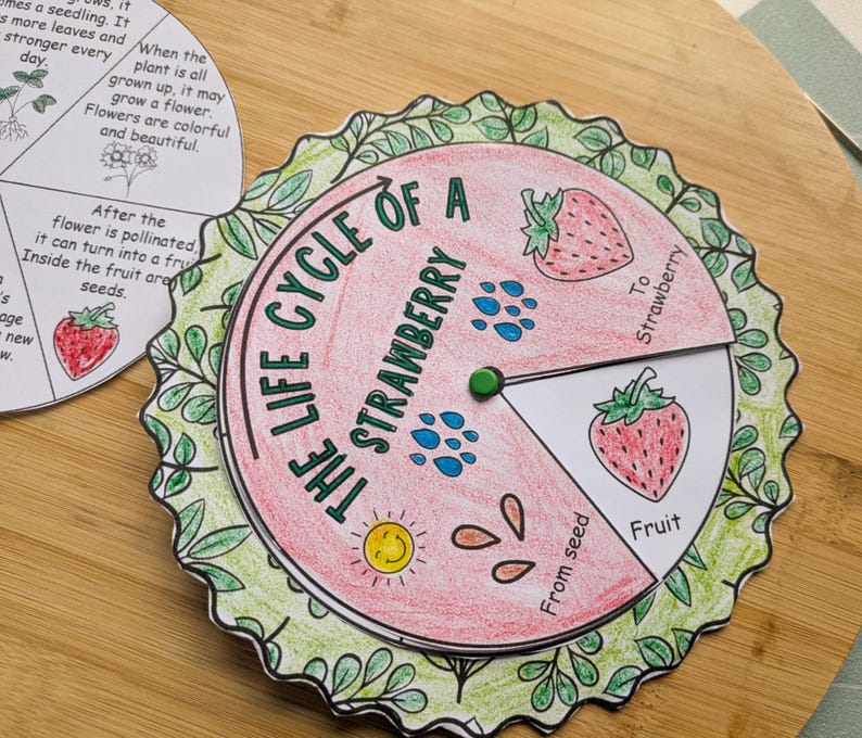 Life Cycle of a Strawberry, Homeschool Science Plant Unit Activity ...
