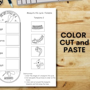 Life Cycle of a Mosquito Foldable Activity, Homeschool Science Unit ...