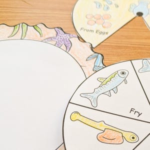 Life Cycle of a Salmon, Homeschool Science Unit Activity, Sequencing ...