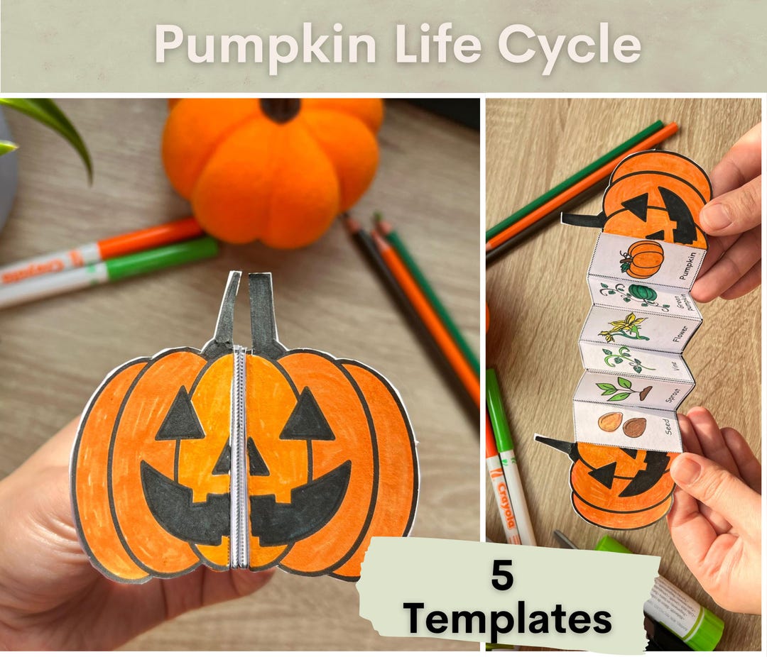 Life Cycle of a Pumpkin Foldable Activity for Kids, Cut and Paste ...