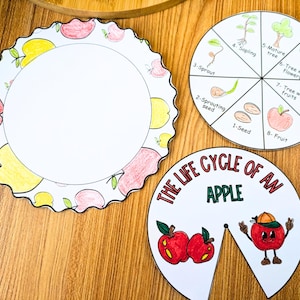 Life Cycle of an Apple Spinner Wheel Kids, Homeschool Science Unit ...