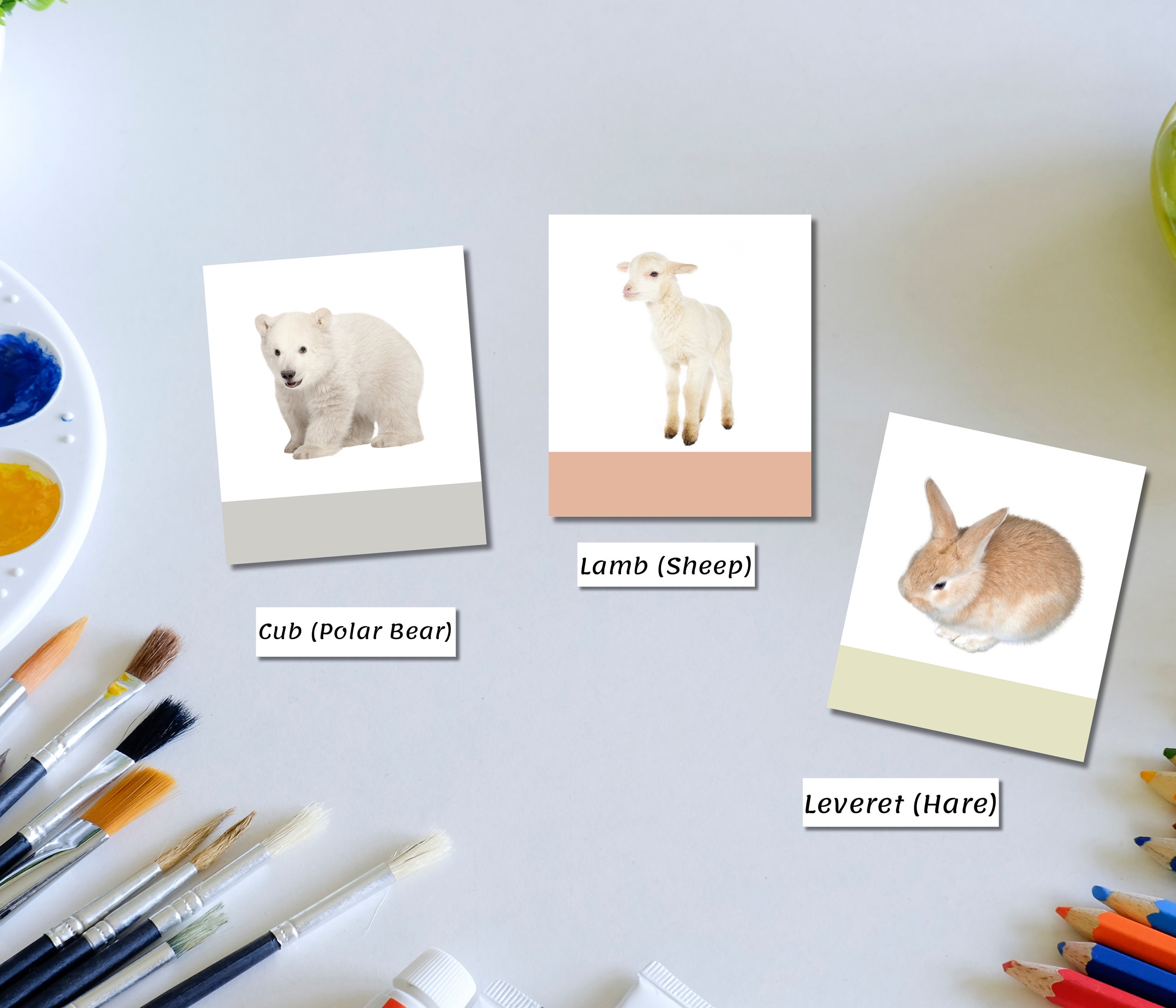 Baby Animal Flashcards, 3 Part Animal Cards, Real Animal Flashcards ...