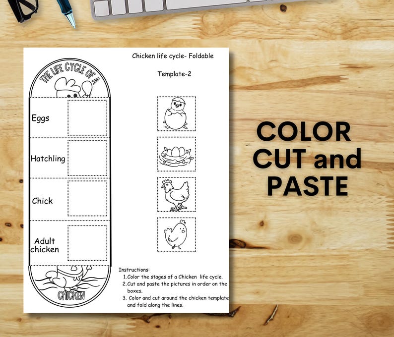 Life Cycle of a Chicken Foldable Activity, Homeschool Science Resources ...