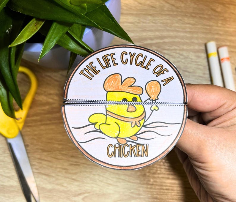 Life Cycle of a Chicken Foldable Activity, Homeschool Science Resources ...