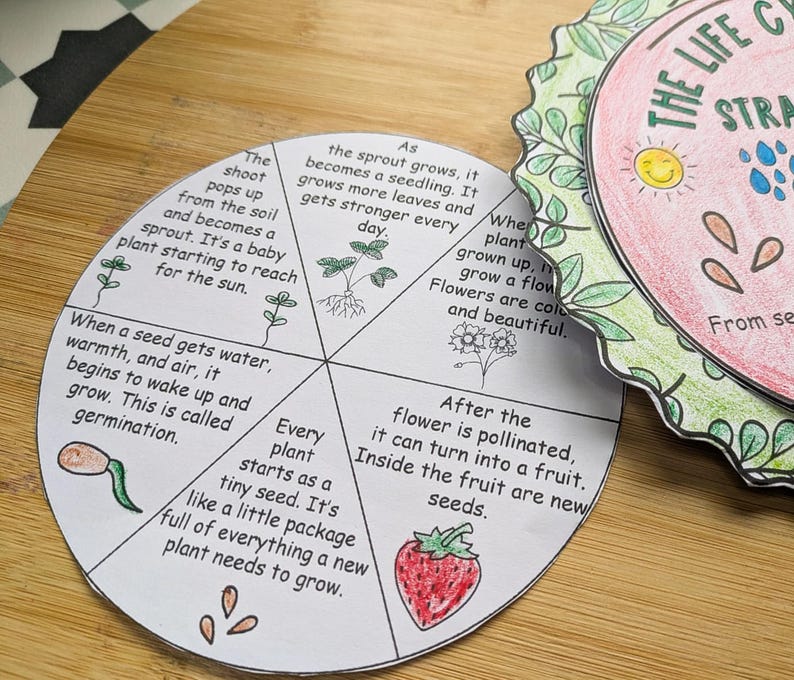 Life Cycle of a Strawberry, Homeschool Science Plant Unit Activity ...
