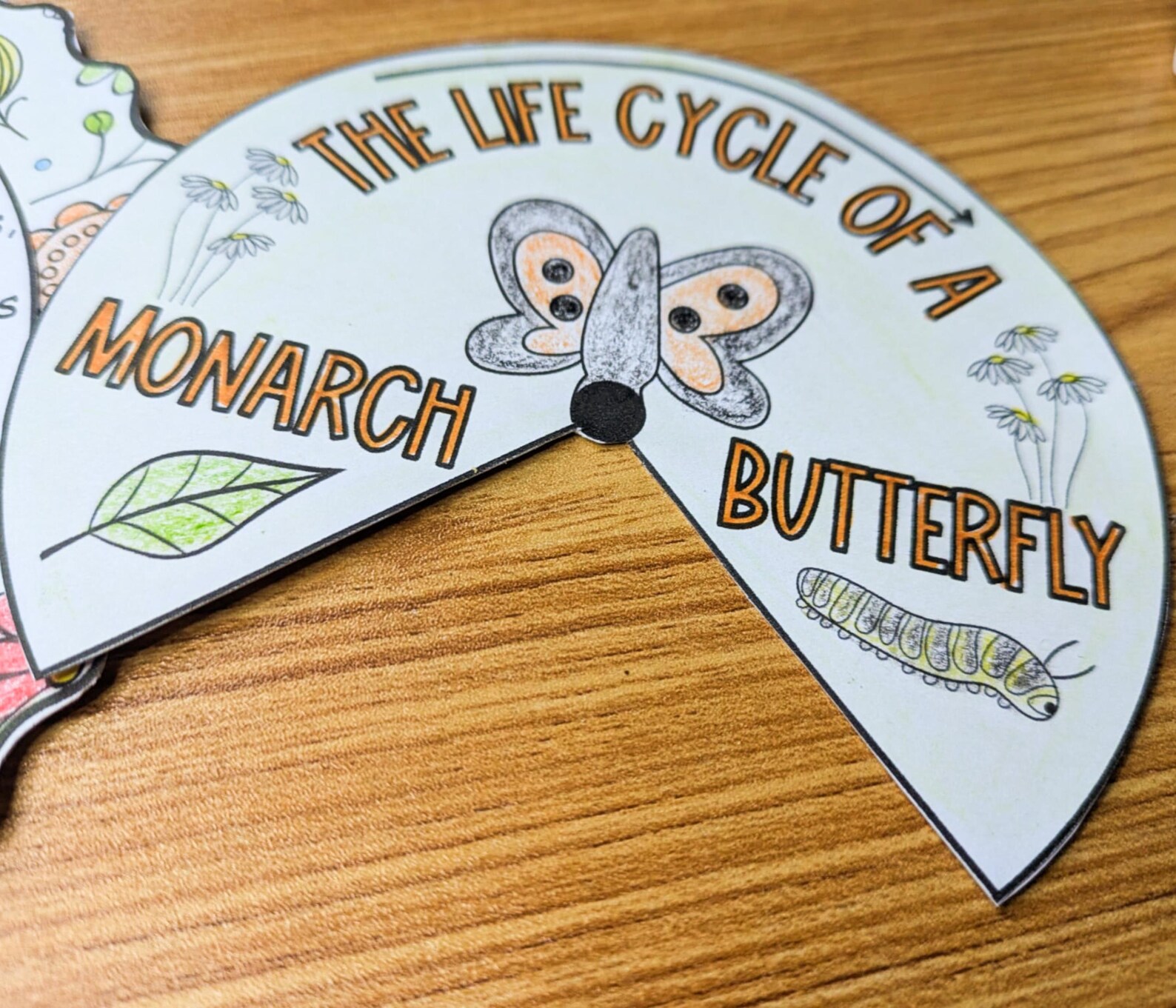 Life Cycle of a Monarch Butterfly, Homeschool Science Curriculum ...