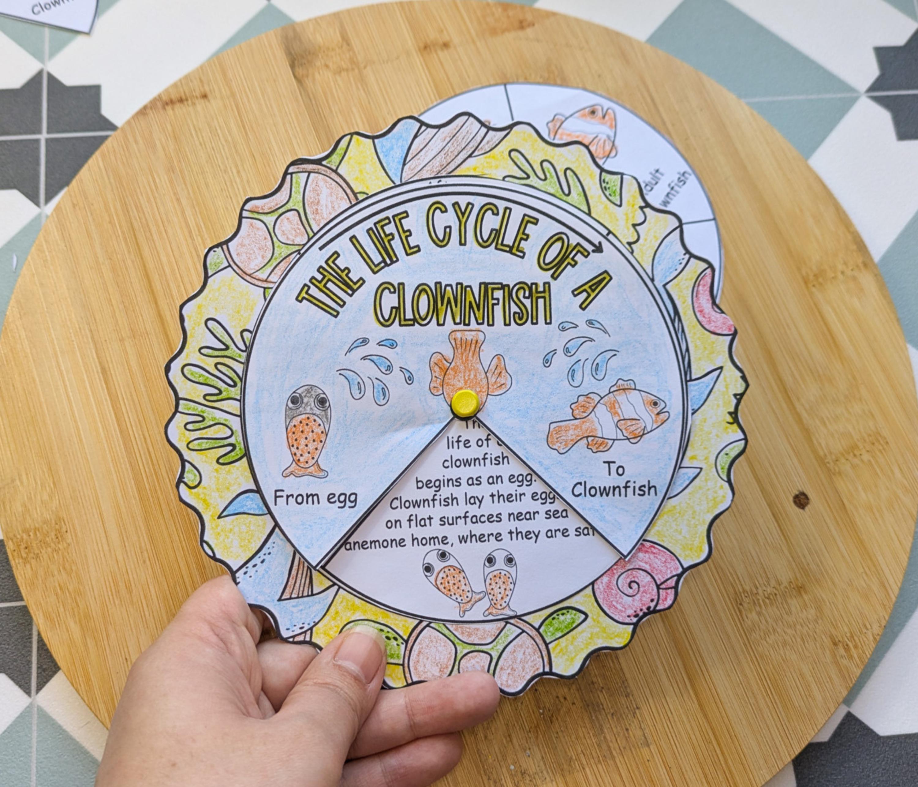 Ocean Animal Life Cycle Spinner Wheel, Homeschool Science Unit Activity ...