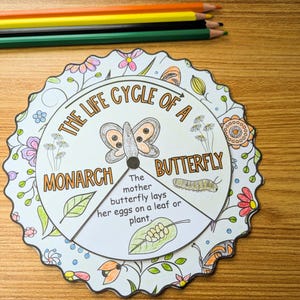 Insects Life Cycle Spinner Wheel, Homeschool Science Unit Activity ...