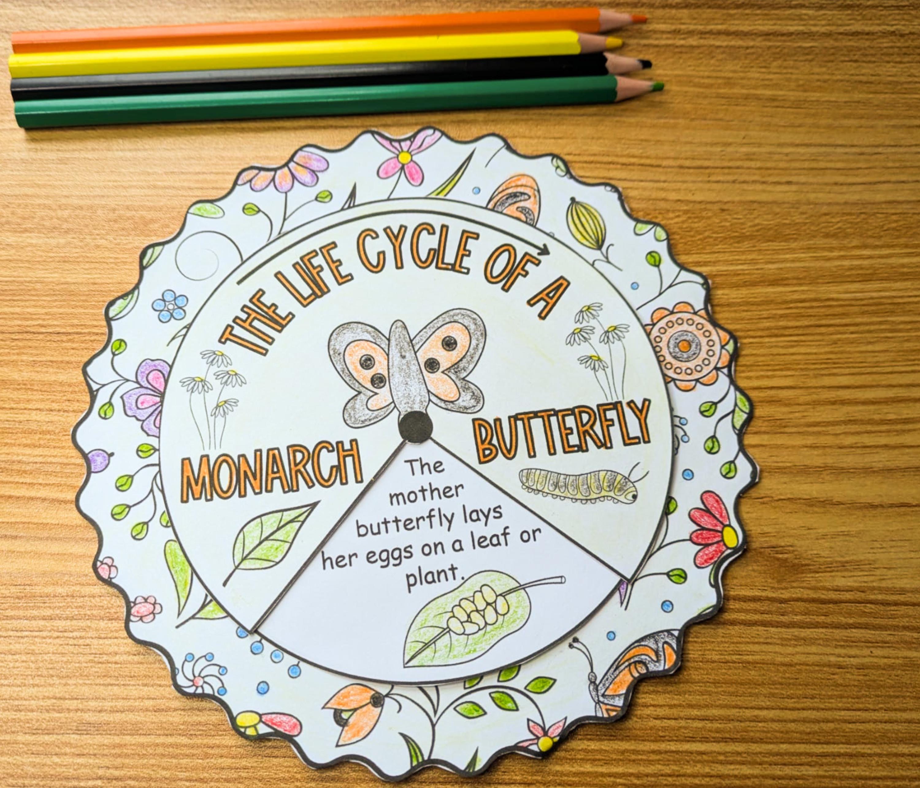 Insects Life Cycle Spinner Wheel, Homeschool Science Unit Activity ...