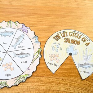 Life Cycle of a Salmon, Homeschool Science Unit Activity, Sequencing ...