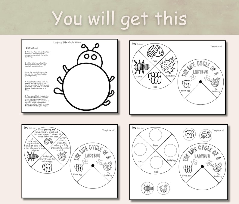 Life Cycle of a Ladybug Ladybird, Homeschool Science Curriculum ...