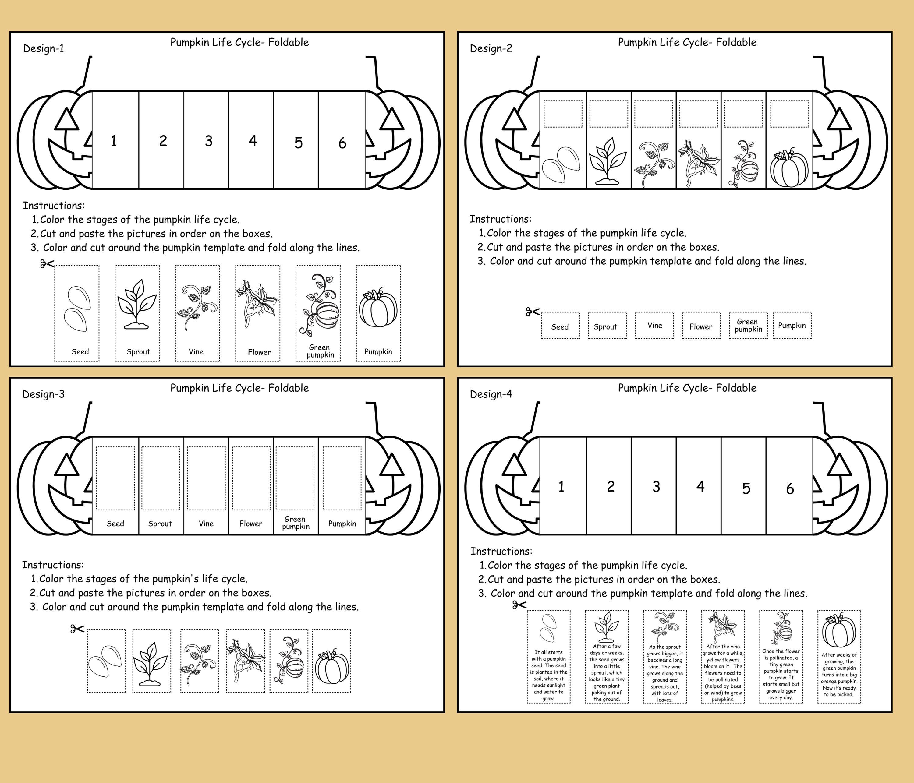 Life Cycle of a Pumpkin Foldable Activity for Kids, Cut and Paste ...