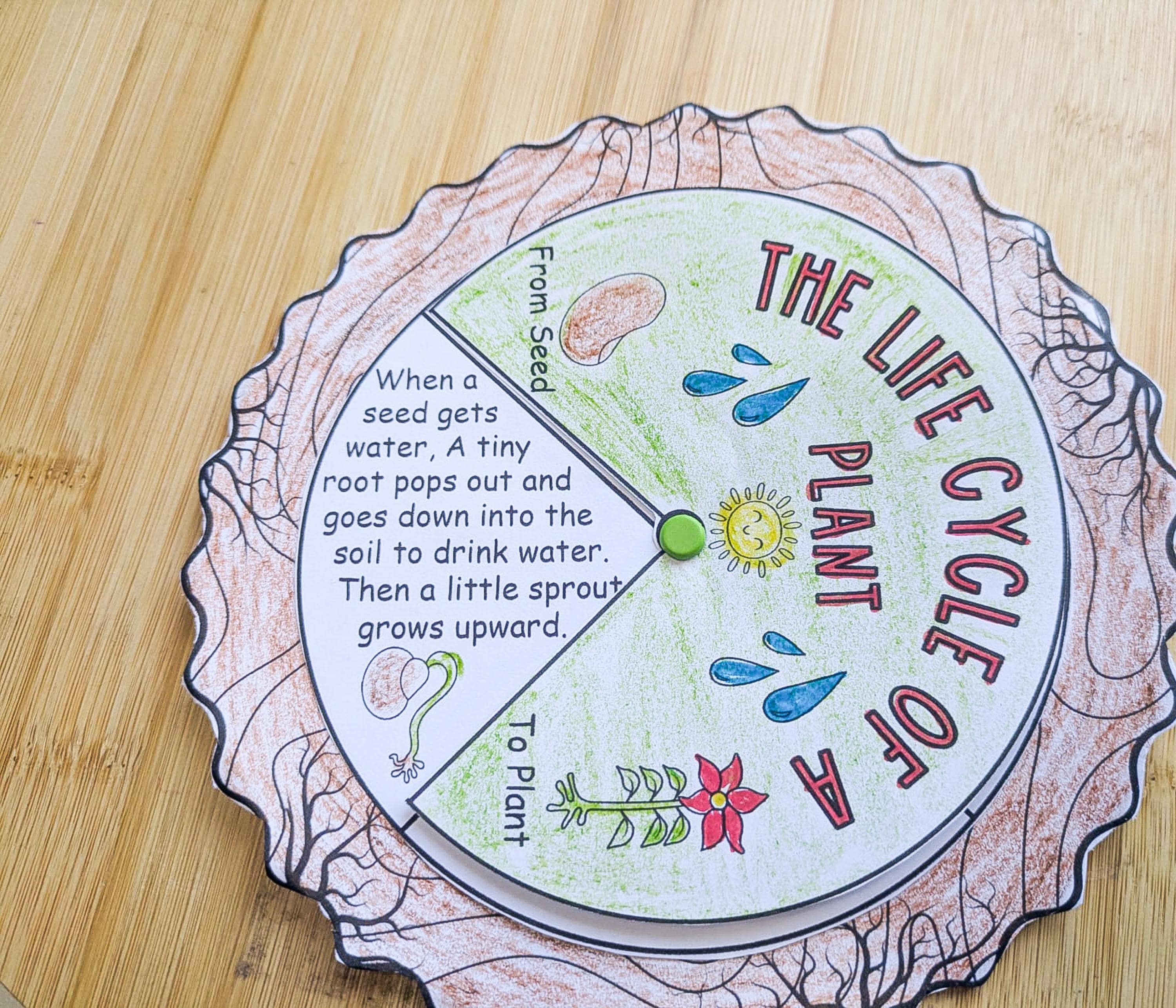 Life Cycle of a Plant, Homeschool Science Unit Activity, Sequencing ...