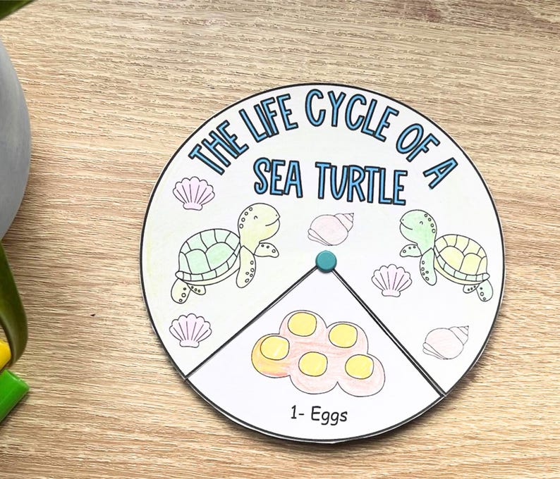 Life Cycle of a Sea Turtle Wheel, Homeschool Science Unit Activity ...