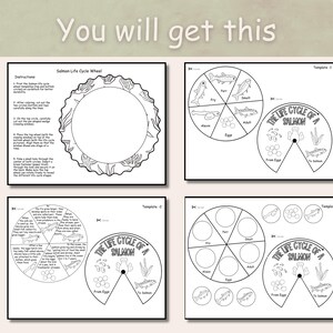 Life Cycle of a Salmon, Homeschool Science Unit Activity, Sequencing ...