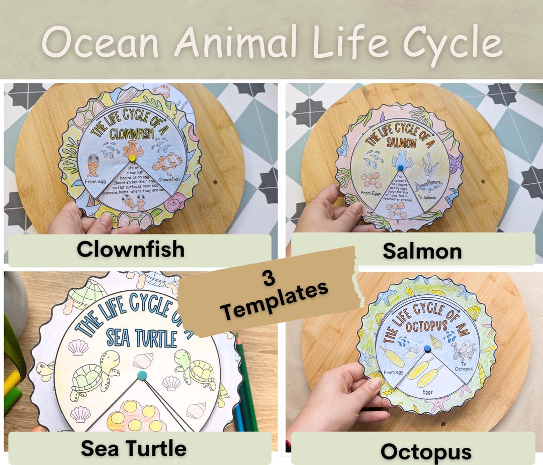Ocean Animal Life Cycle Spinner Wheel, Homeschool Science Unit Activity ...