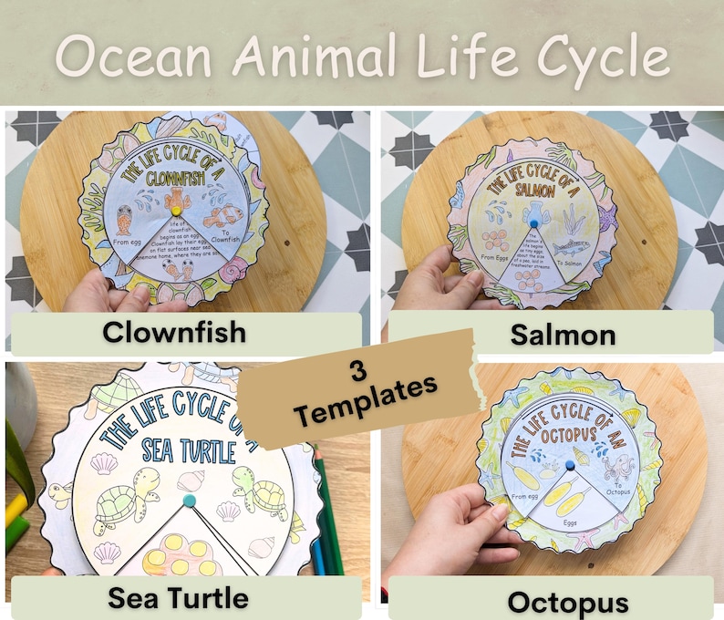 Ocean Animal Life Cycle Spinner Wheel, Homeschool Science Unit Activity ...