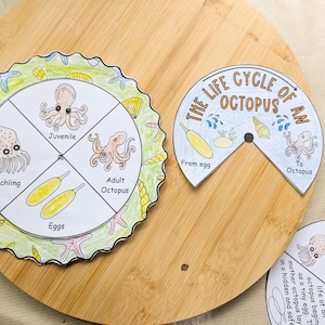 Ocean Animal Life Cycle Spinner Wheel, Homeschool Science Unit Activity ...