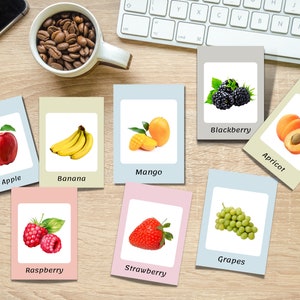 Fruit Flashcards for Kid, Montessori 3 Part Cards, Nomenclature Cards ...