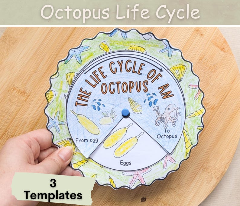 Life Cycle of an Octopus Wheel, Homeschool Science Unit Study ...
