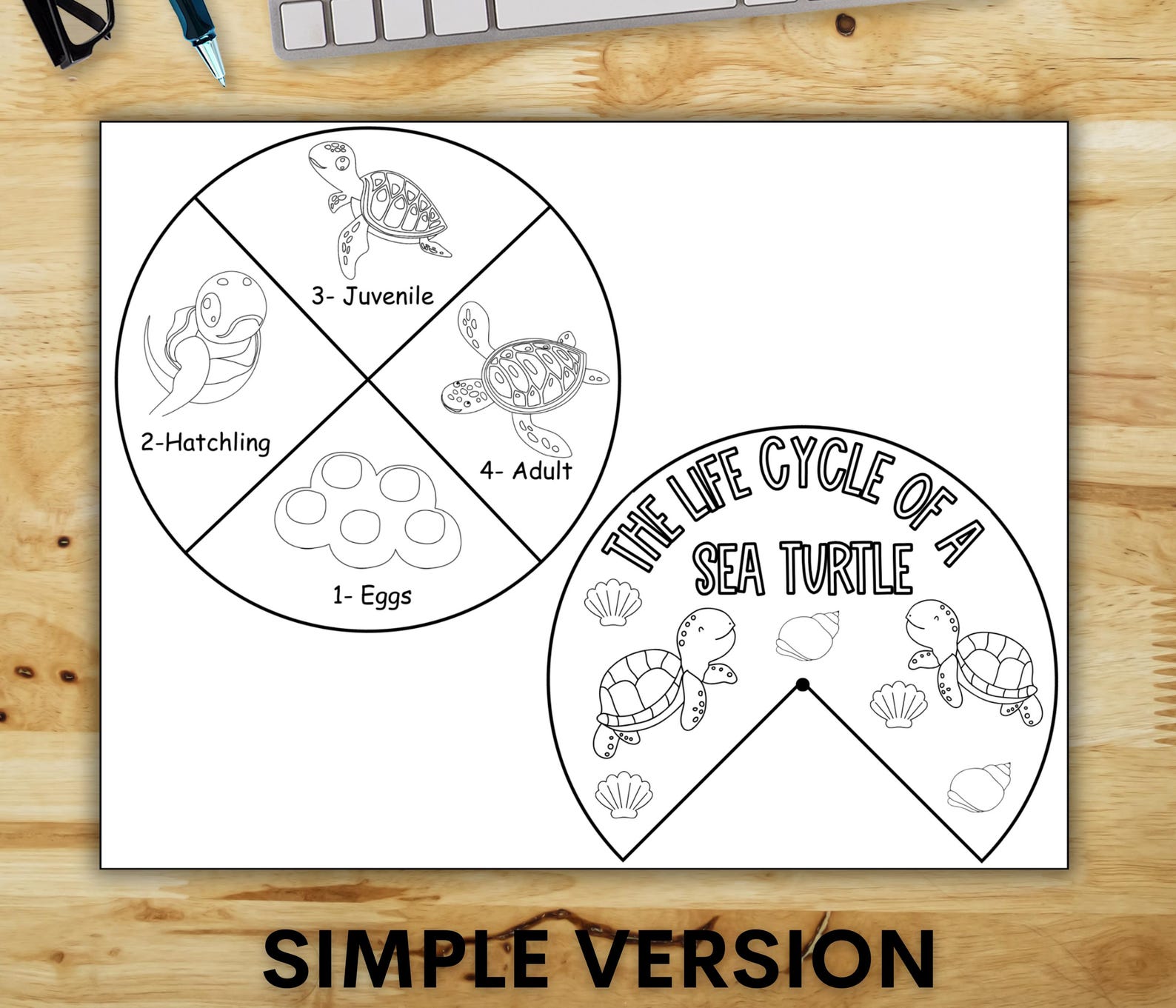 Life Cycle of a Sea Turtle Wheel, Homeschool Science Unit Activity ...