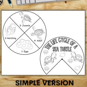 Life Cycle of a Sea Turtle Wheel, Homeschool Science Unit Activity ...