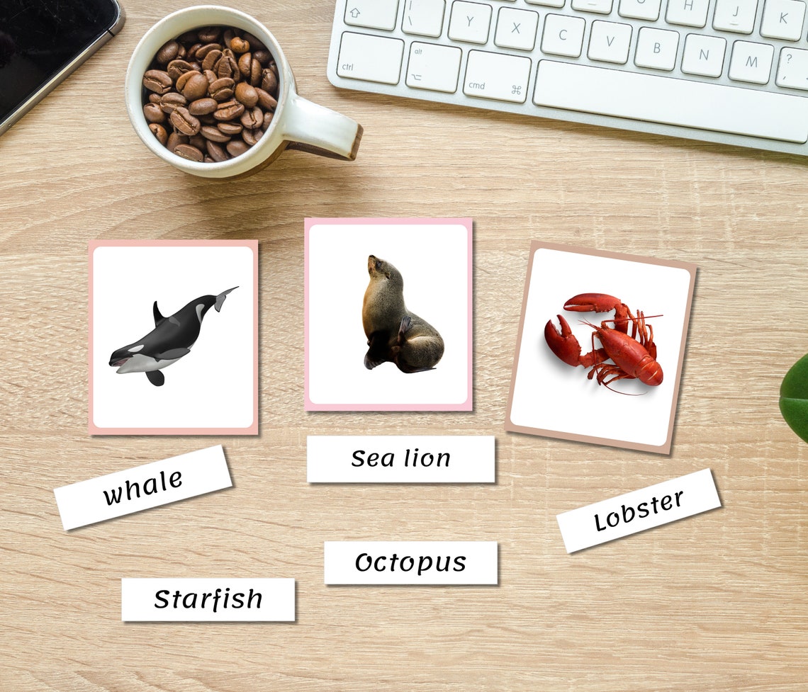 Ocean Animals Flashcards, Preschool Learning Cards, Homeschool ...