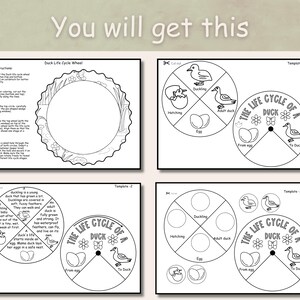 Life Cycle of a Duck Wheel, Kindergarten Unit Activity, Homeschool ...