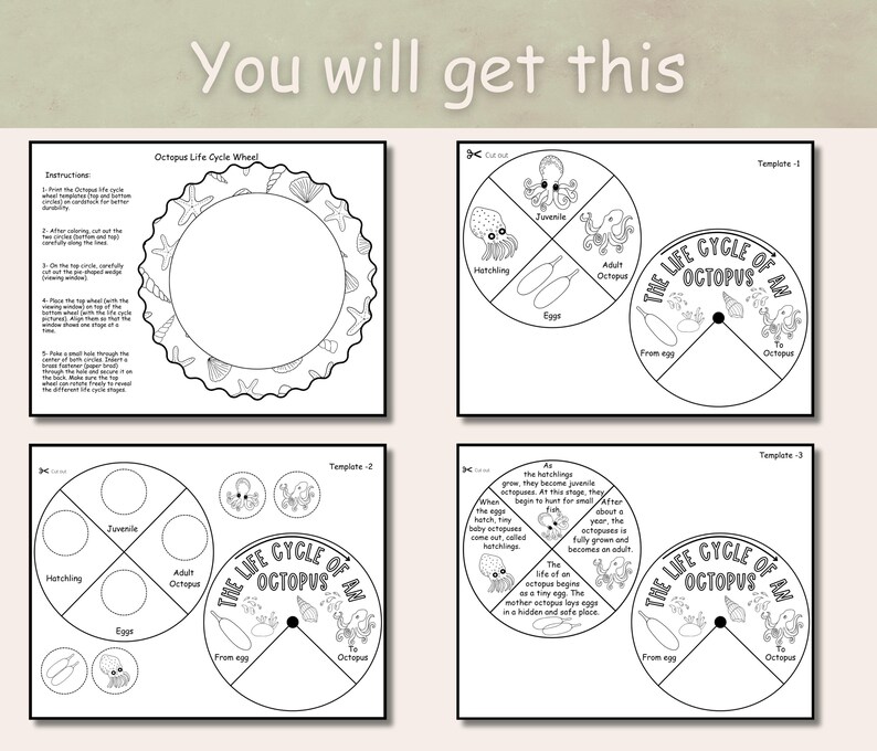 Life Cycle of an Octopus Wheel, Homeschool Science Unit Study ...