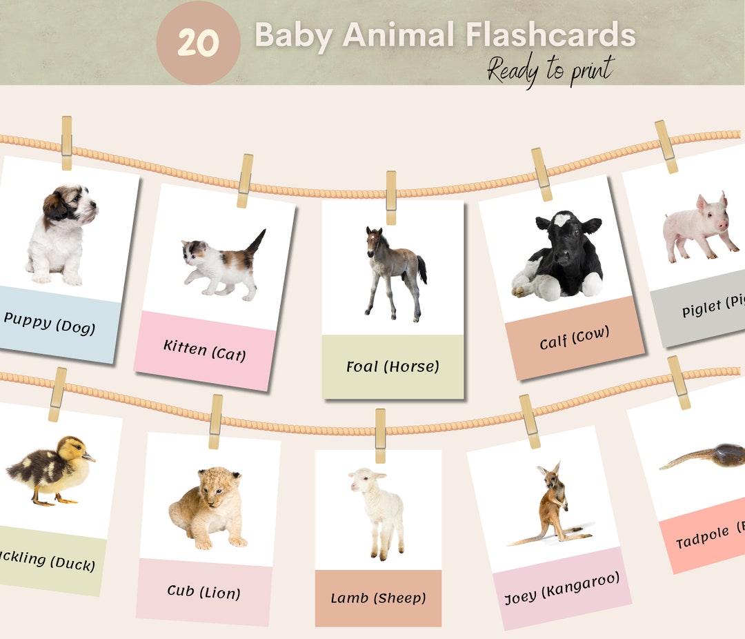 Baby Animal Flashcards, Editable Animal Learning Cards for Toddler ...