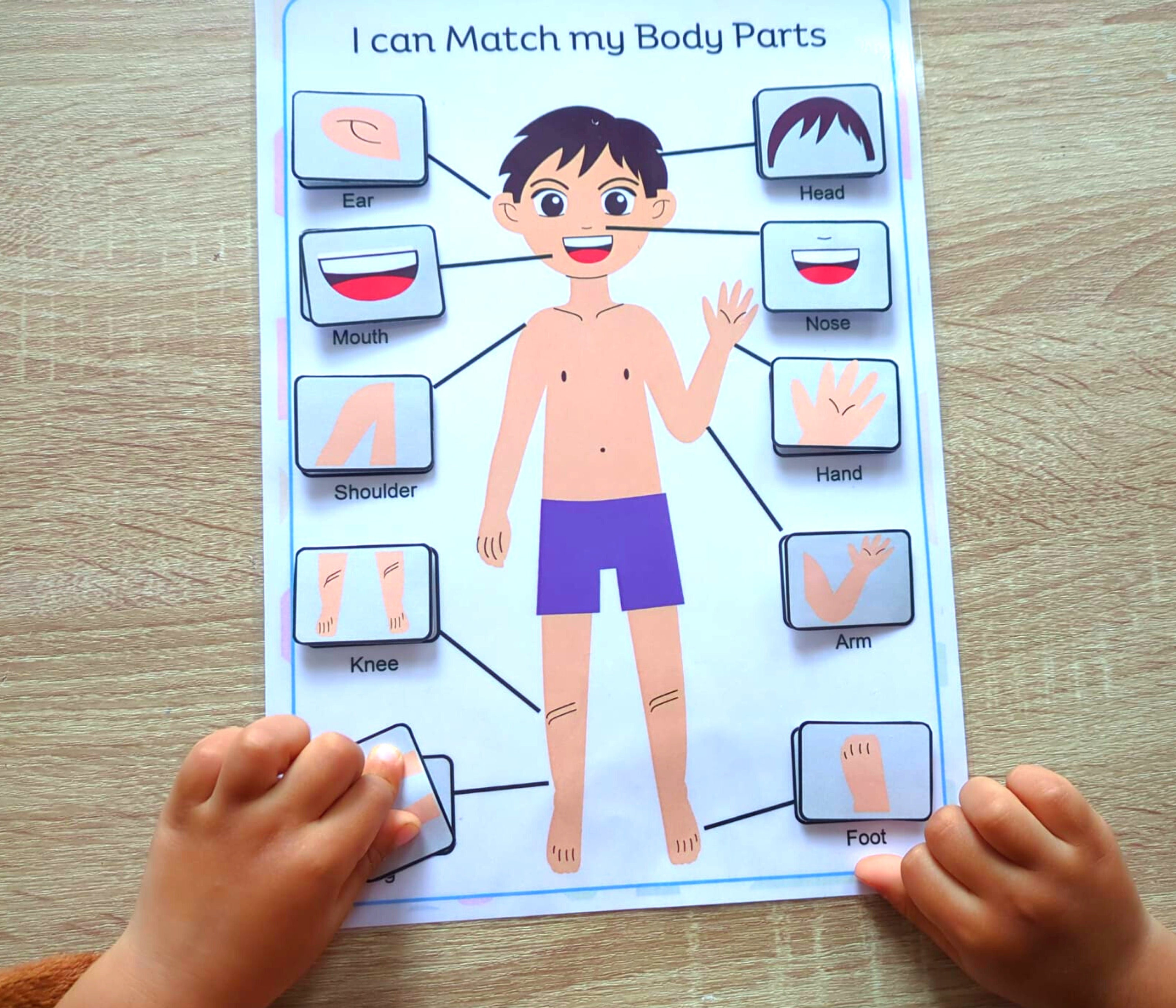 Body Parts Matching Activity for Toddlers, Printable Busy Book Page ...